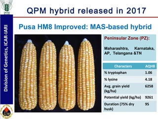 Molecular Breeding for Development of Biofortified Maize Hybrids in ...