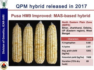 Molecular Breeding for Development of Biofortified Maize Hybrids in ...