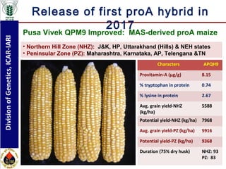 Molecular Breeding for Development of Biofortified Maize Hybrids in ...