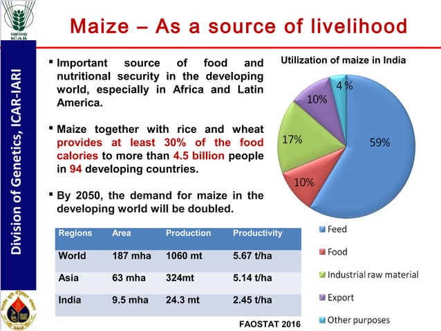 Molecular Breeding for Development of Biofortified Maize Hybrids in ...