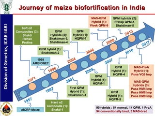 Molecular Breeding for Development of Biofortified Maize Hybrids in ...