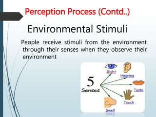 Perception | PPTX | Science
