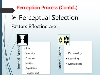 Perception | PPTX | Science