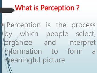 Perception | PPTX | Science