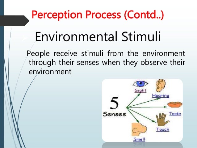 The Process Of Sense Perception Diagram