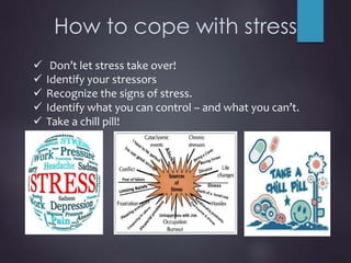 Importance of a Stress Free Envioronment | PPTX