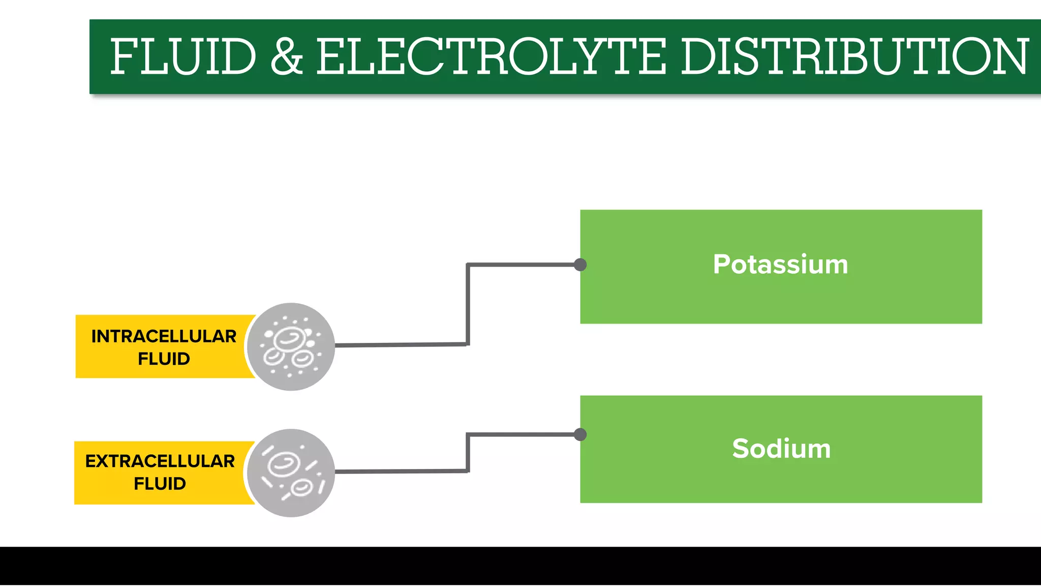 FINAL Hydration Principles_ Intake, Absorption, Distribution ...
