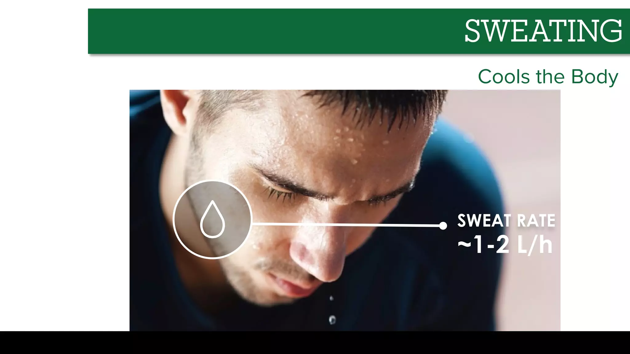 FINAL Hydration Principles_ Intake, Absorption, Distribution ...