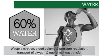FINAL Hydration Principles_ Intake, Absorption, Distribution ...