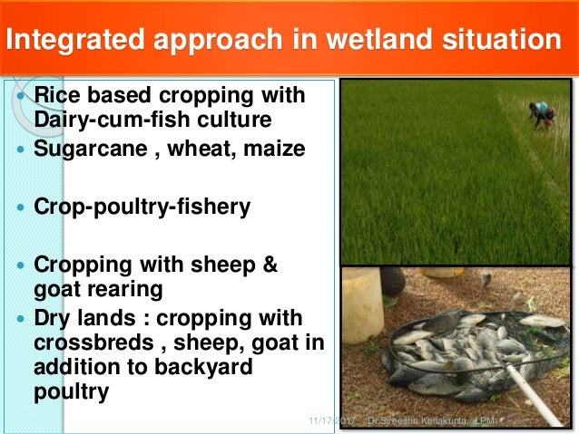 INTEGRATED FARMING FOR SMALL AND MARGINAL FARMERS