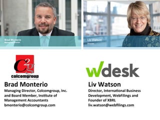 Applying an Effective Control Environment to Integrated Reporting ...