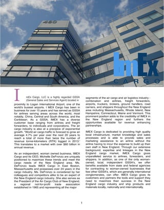 ImEx Cargo LLC | PDF | Aviation Industry | Industries
