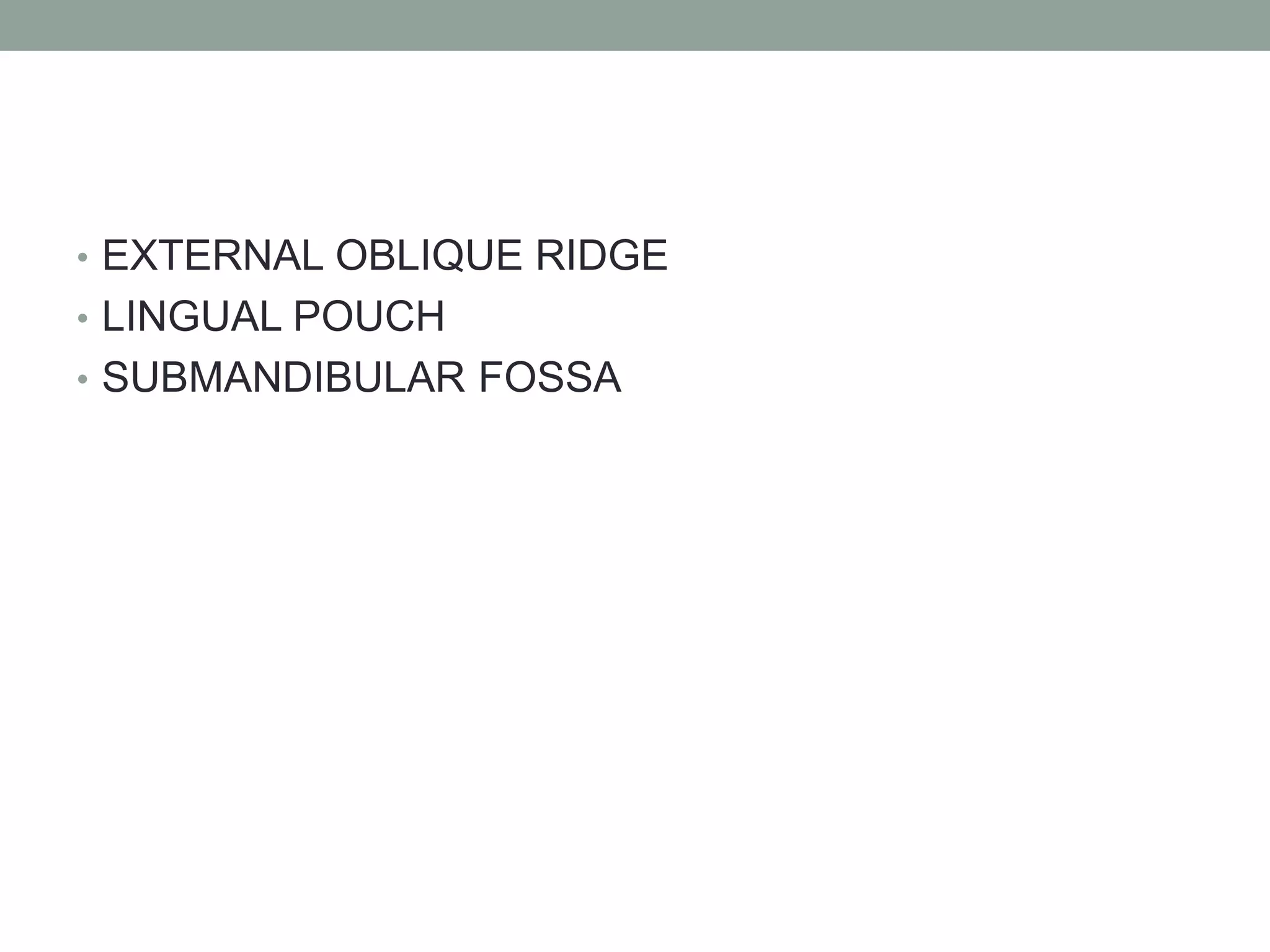 Impacted third molars | PPTX