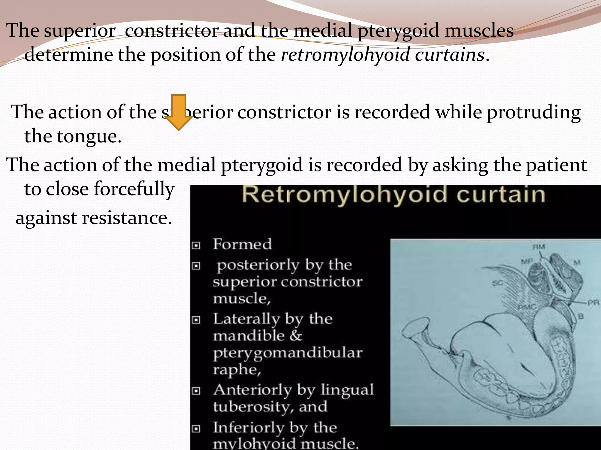 Secondary impression in complete denture CD | PPTX