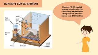 Operant Conditioning | PPT