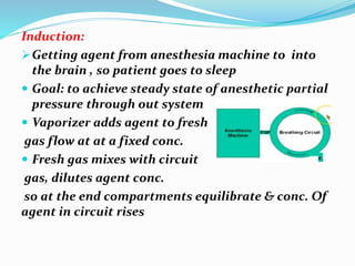 Inhalational anaesthetics | PPT
