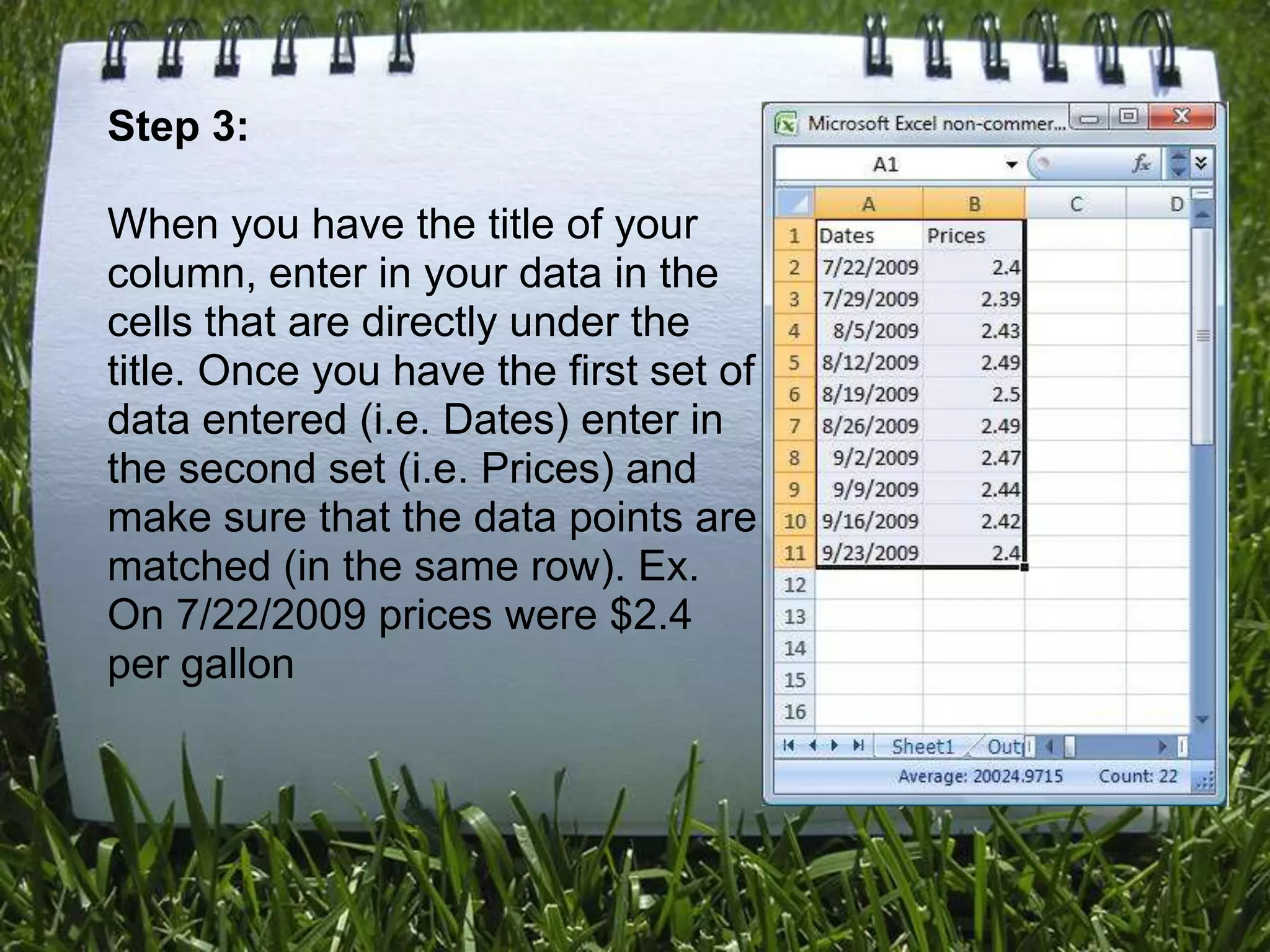 How to Insert a Graph into Microsoft Excel 2007 | PPT