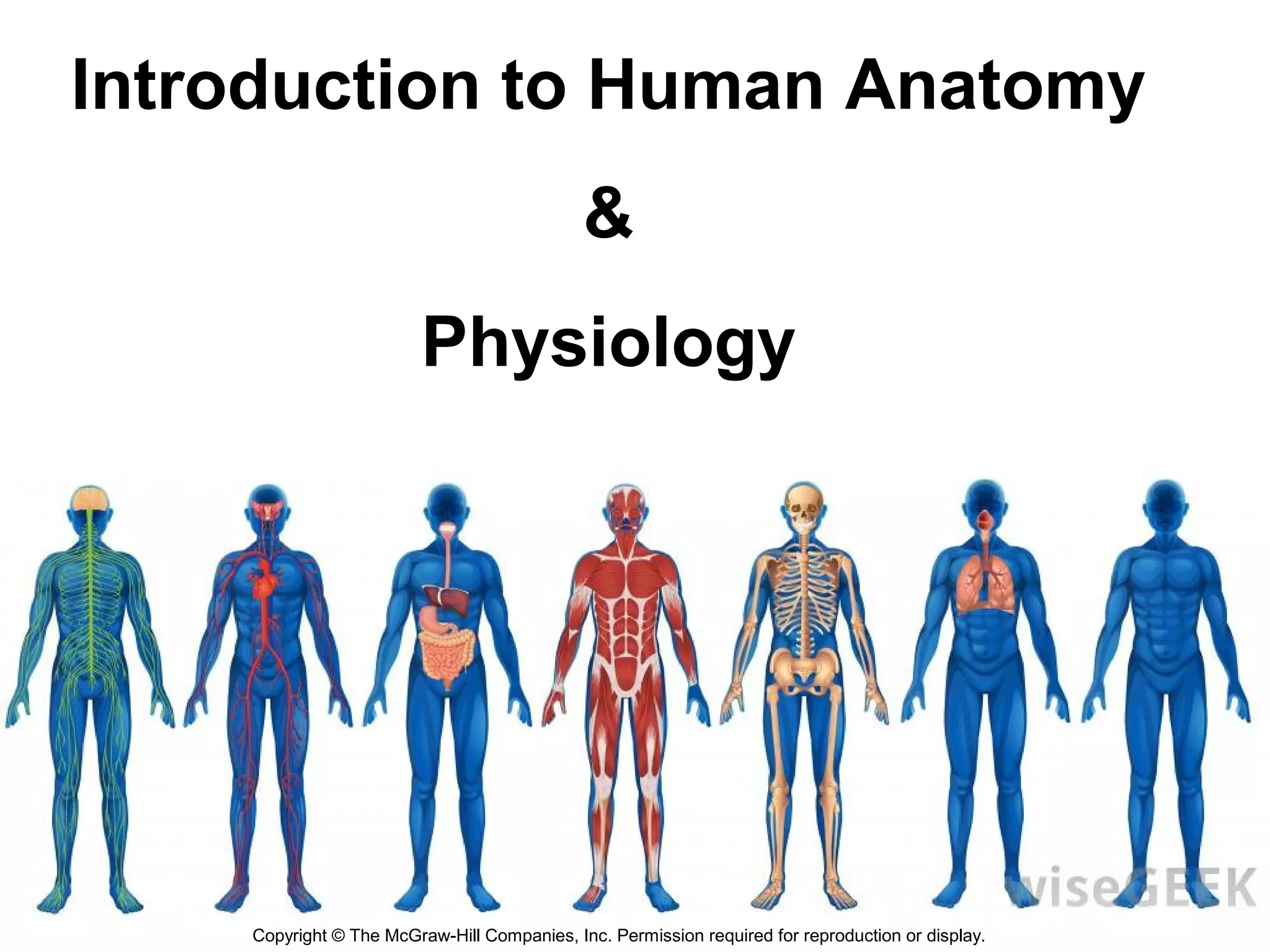 Final introduction of human anatomy physiology by Sohan Patel, Modasa | PPT
