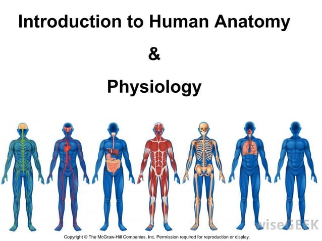 Final introduction of human anatomy physiology by Sohan Patel, Modasa | PPT