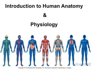 Introduction of human anatomy physiology | PPT