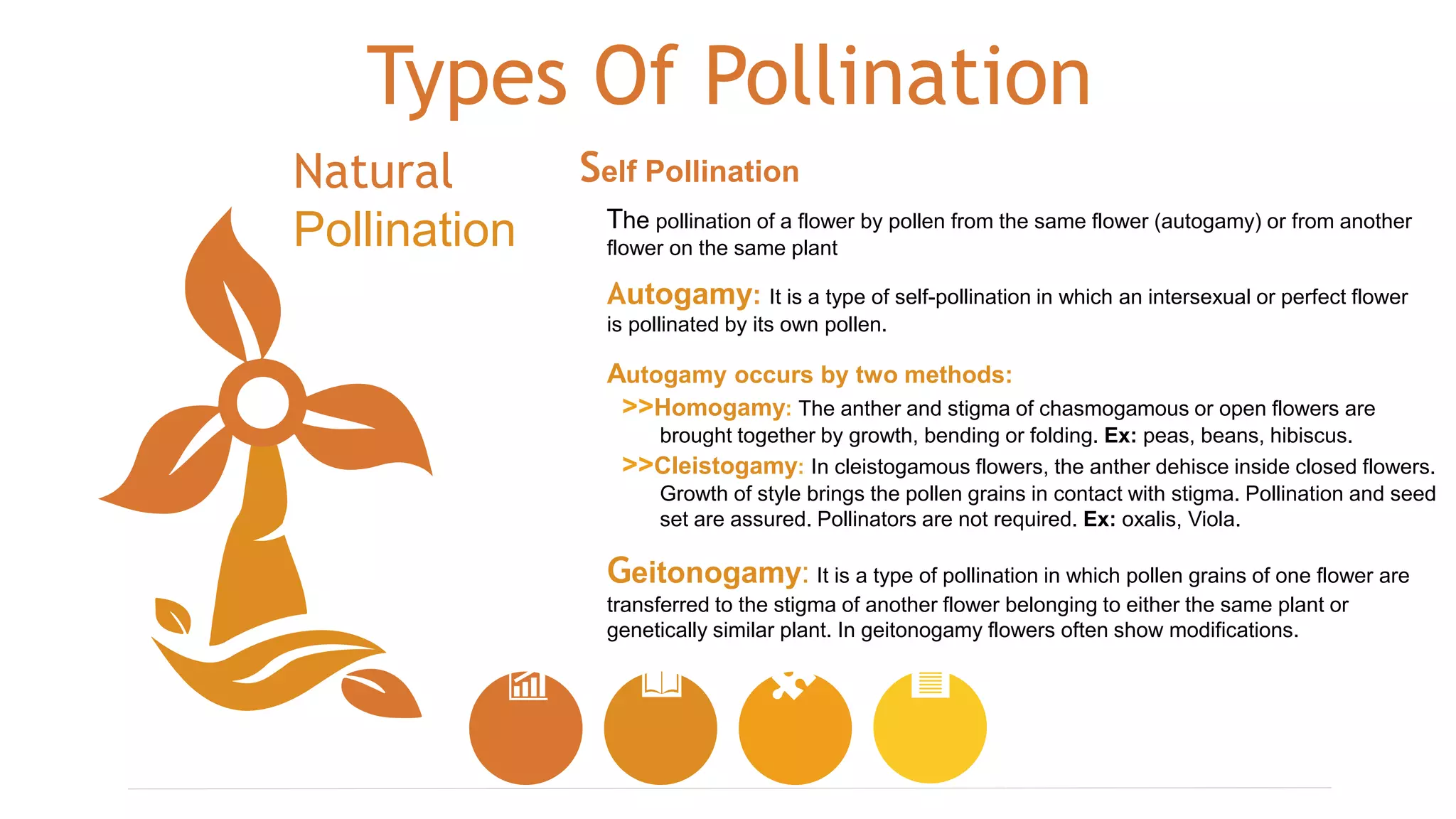 Investigatory project of biology on pollination in flowering plants | PPTX
