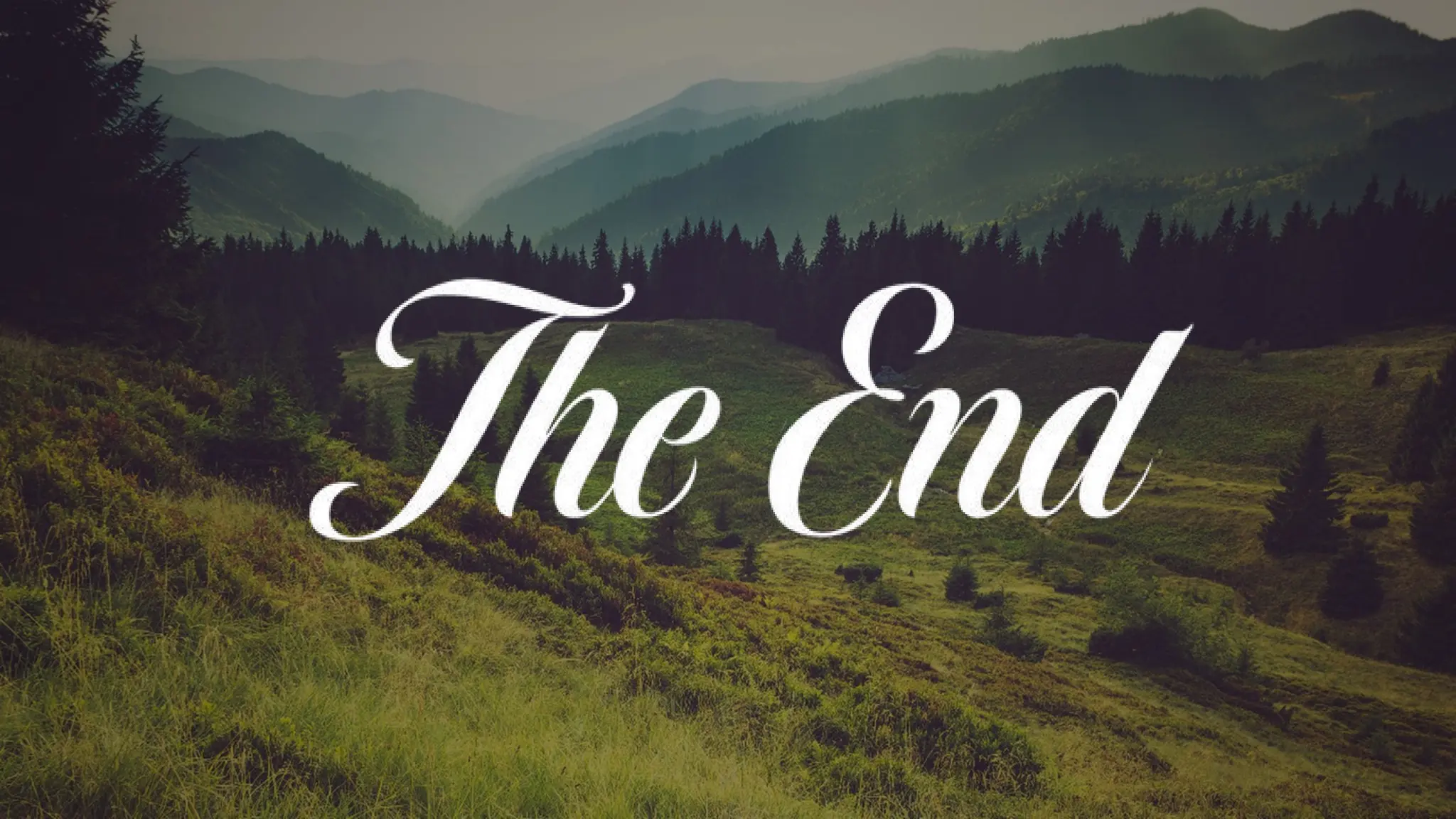 Finalized Pharmacognosy Presentation By M.Abuzar..pptx