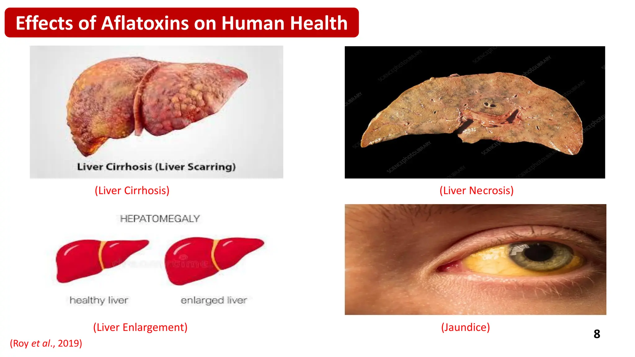 detection and detoxification of aflatoxin | PDF