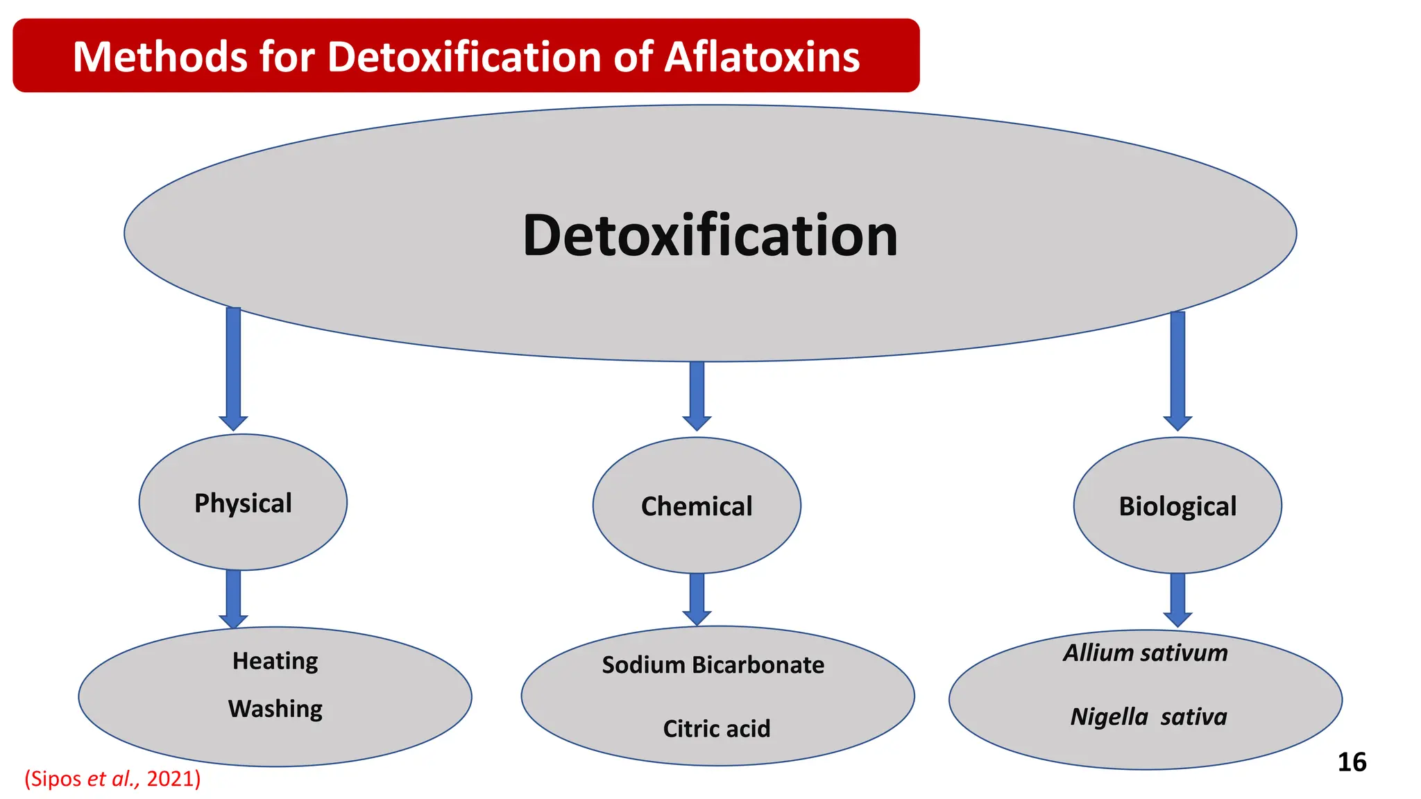 detection and detoxification of aflatoxin | PDF