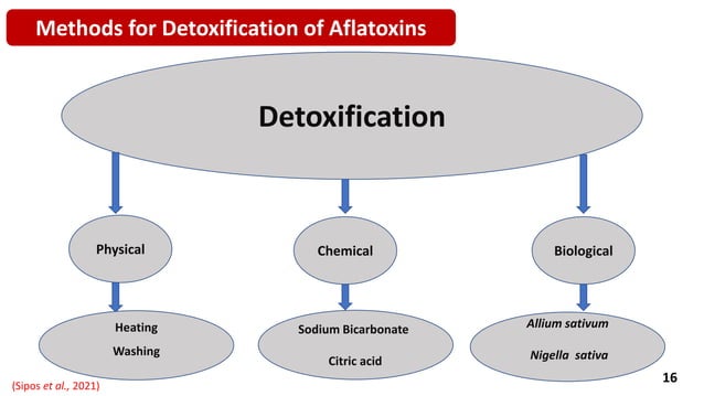 detection and detoxification of aflatoxin | PDF