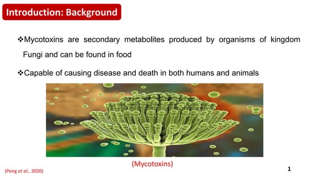 detection and detoxification of aflatoxin | PDF