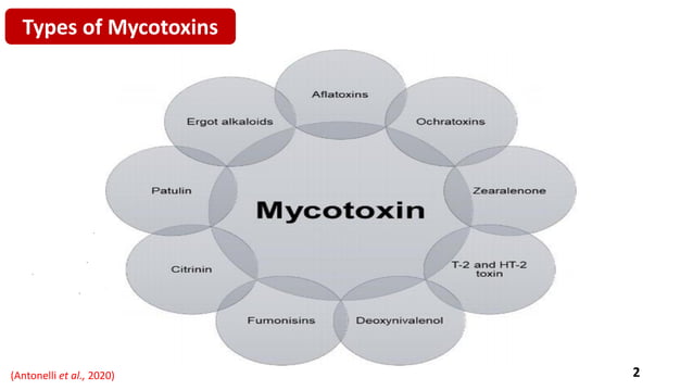 detection and detoxification of aflatoxin | PDF