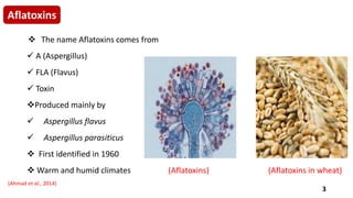 detection and detoxification of aflatoxin | PDF