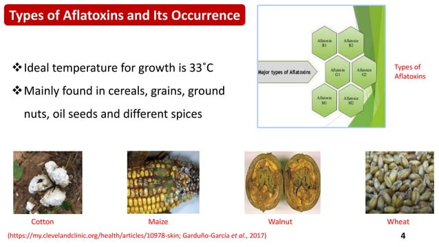 detection and detoxification of aflatoxin | PDF