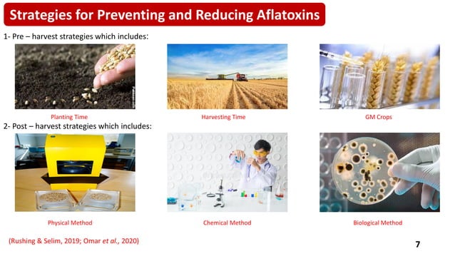 detection and detoxification of aflatoxin | PDF