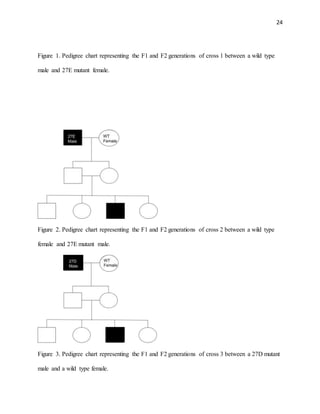 Jenna Rose Kol Deciphering Phenotypic Ratios Using Mendelian Genetics ...