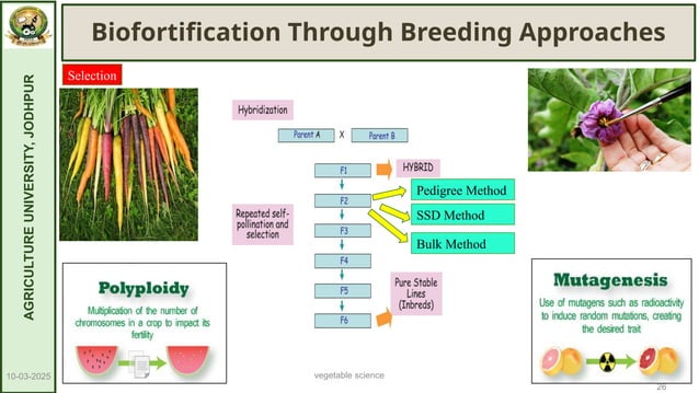 Biofortification_in_vegetable_Crops -.pptx