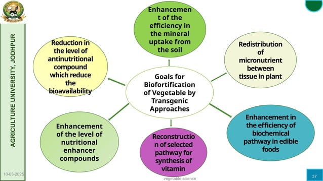 Biofortification_in_vegetable_Crops -.pptx