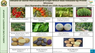 Biofortification_in_vegetable_Crops -.pptx