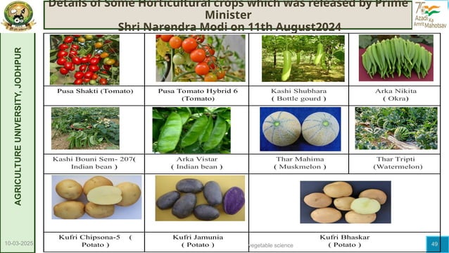 Biofortification_in_vegetable_Crops -.pptx