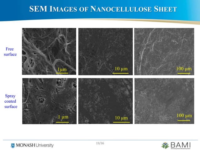 Nanocellulose based functional material using spraying | PPTX | Chemistry | Science