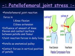 Knee complex | PPT