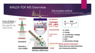 MALDI - TOF MS: Where Mass Spectrometry Meets Microbiology | PPTX
