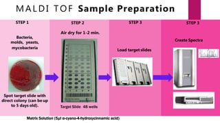 MALDI - TOF MS: Where Mass Spectrometry Meets Microbiology | PPTX