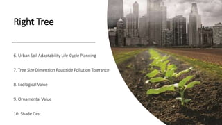 Urban streets | PPTX | Landscaping | Home & Garden