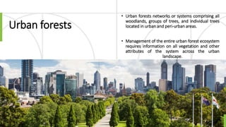 Urban streets | PPTX