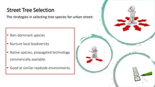 Urban streets | PPTX | Landscaping | Home & Garden