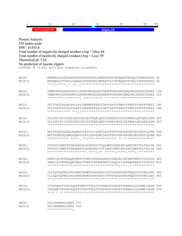Analysis of Manduca sexta Chitinase-h sequence | PDF