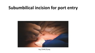 Final lap and preg.pptx