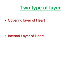 layers of heart part 2 ll SOHAN PATEL | PPT