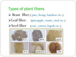 Final leaf processing presantation(2010) | PPT